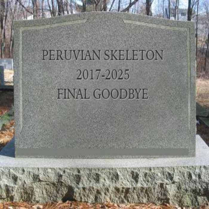 2017-2025 | Peruvian Skeleton