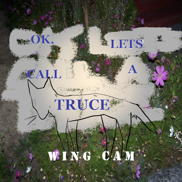 Ok, Let's Call A Truce | Wing Cam | w3bcam