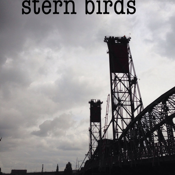 Stern Birds | Nathan Clevenger