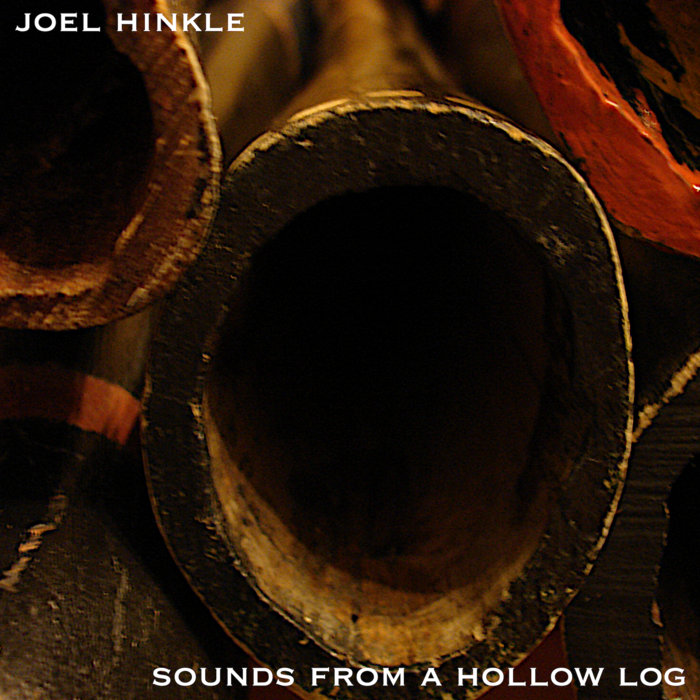 sounds of a hollow log | Joel Hinkle