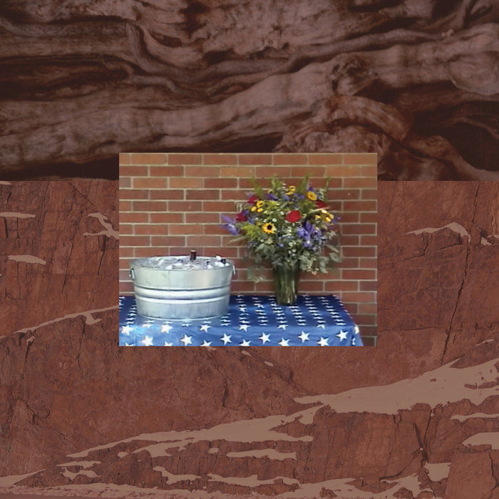 A Cardinal With a Sign of Blood | Andrew Weathers