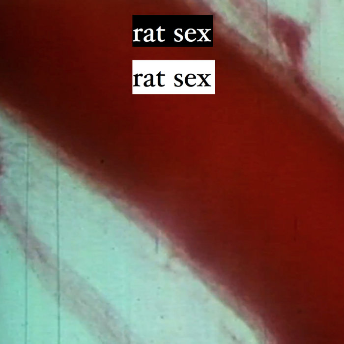 Rat Sex Rat Sex