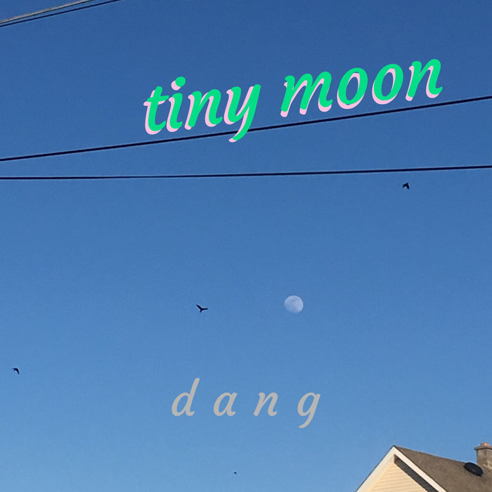 dang | tiny moon