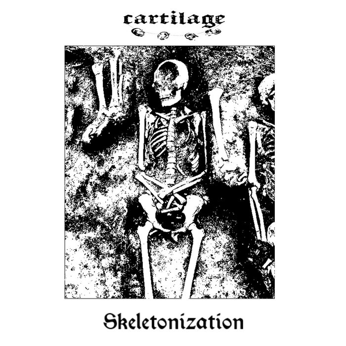 Skeletonization | Cartilage