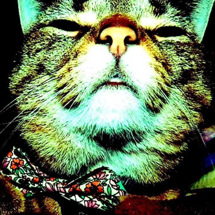 Perfect Spell (rough mix) | Moon Lobster