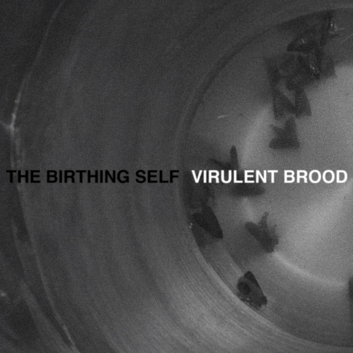 VIRULENT BROOD | THE BIRTHING SELF | ANNIHILVS POWER ELECTRONIX