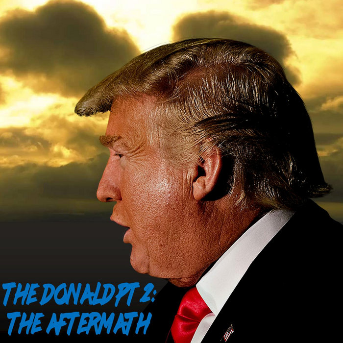 The Donald Pt. 2: The Aftermath | Nig Nog