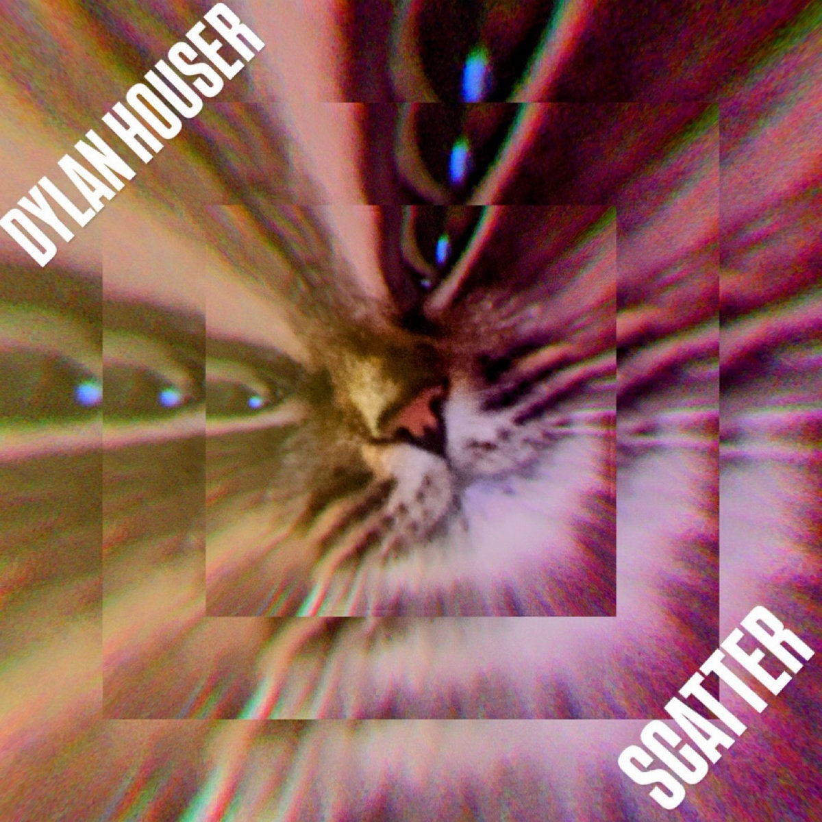 Scatter | Dylan Houser