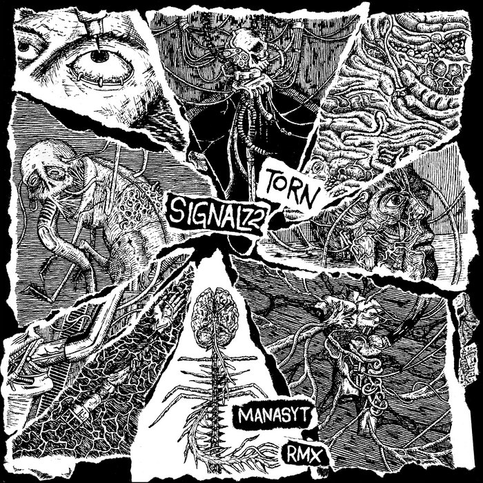 TORN | SIGNAL 72 | Nach Der Stille Records