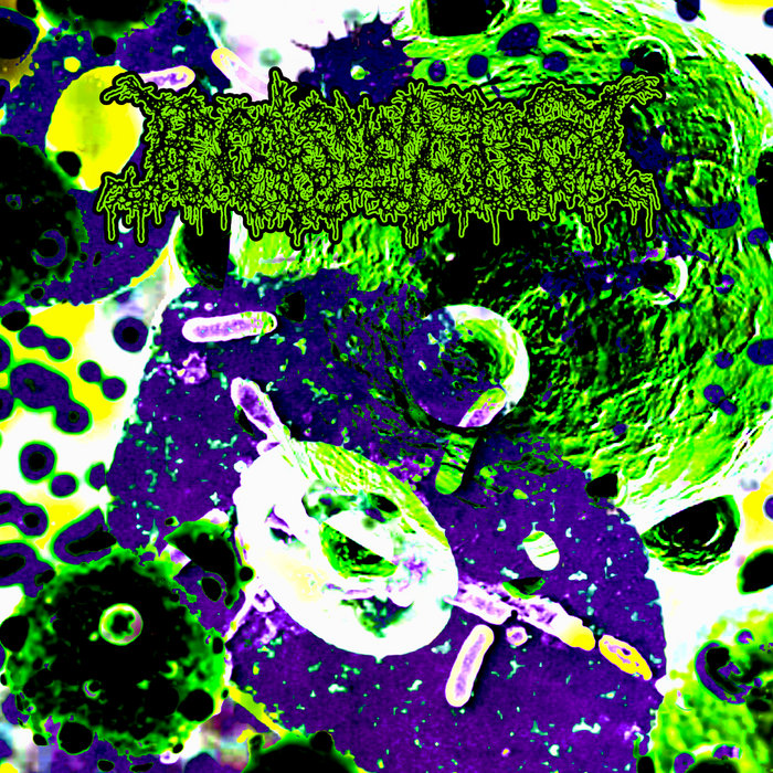 Discography (2012) | FECAL SMEAR TEST