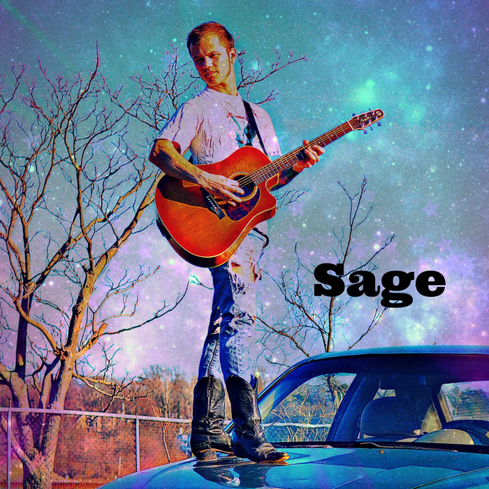 Wildlife | Daniel Sage