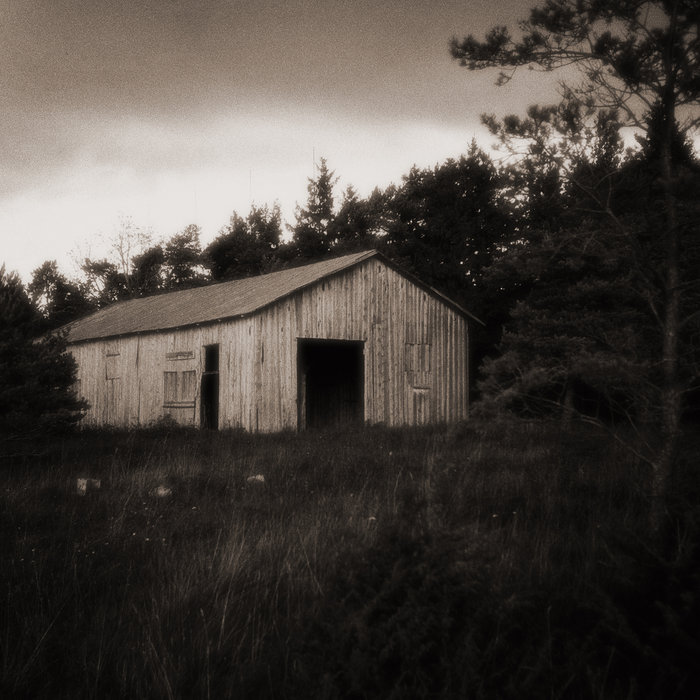 Autio piha | Tipeth | Petri Rannikko