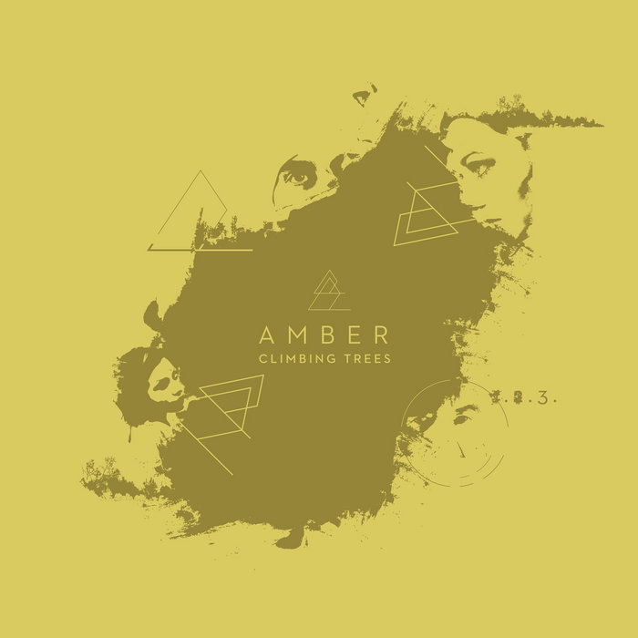 Amber | Climbing Trees