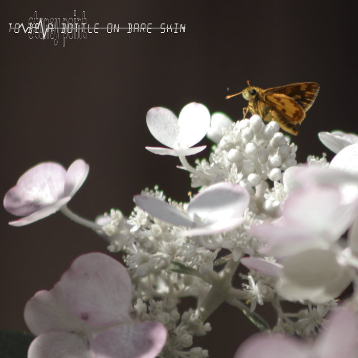 To Be a Bottle on Bare Skin | Stoney Point