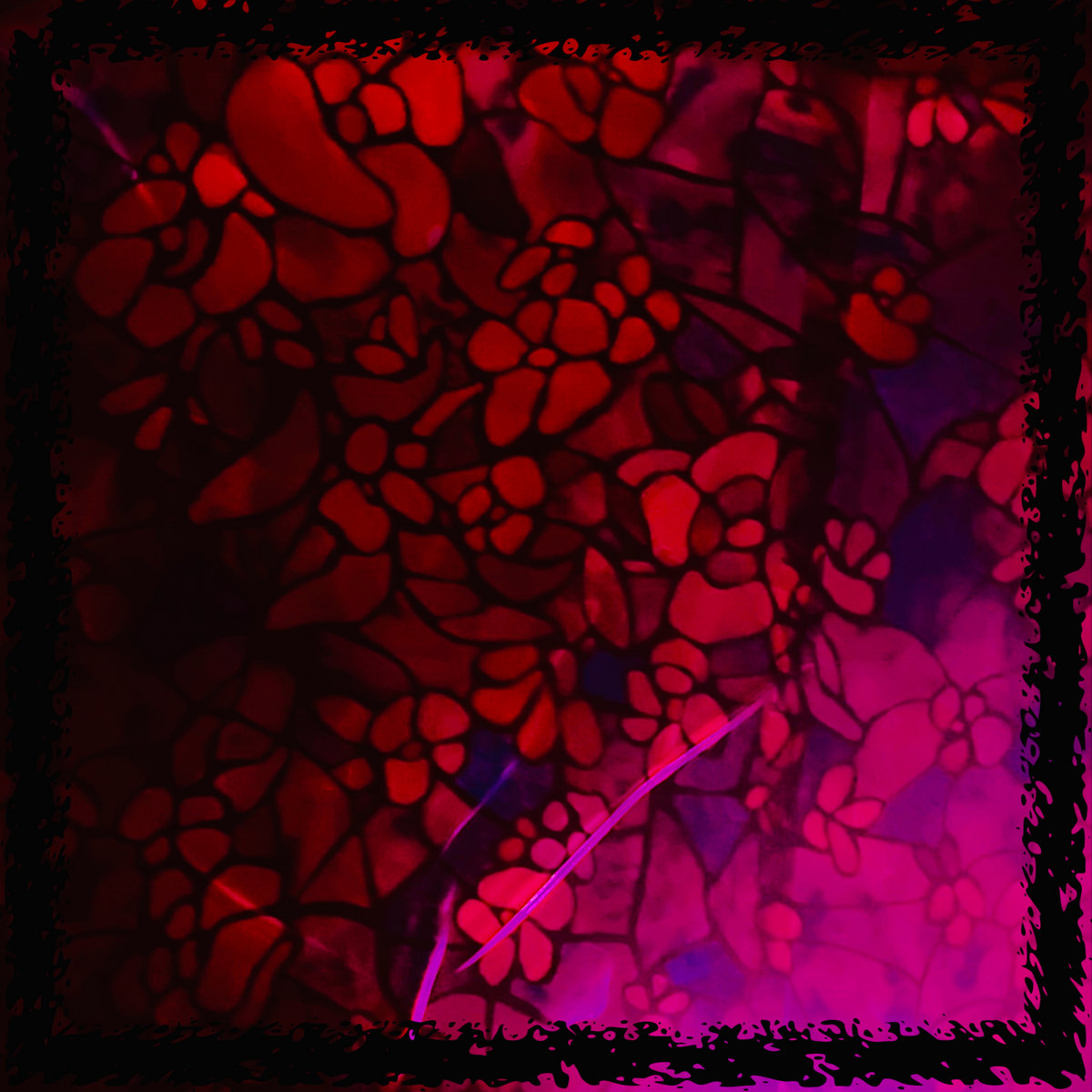 Floral Flame | Graham Abbott