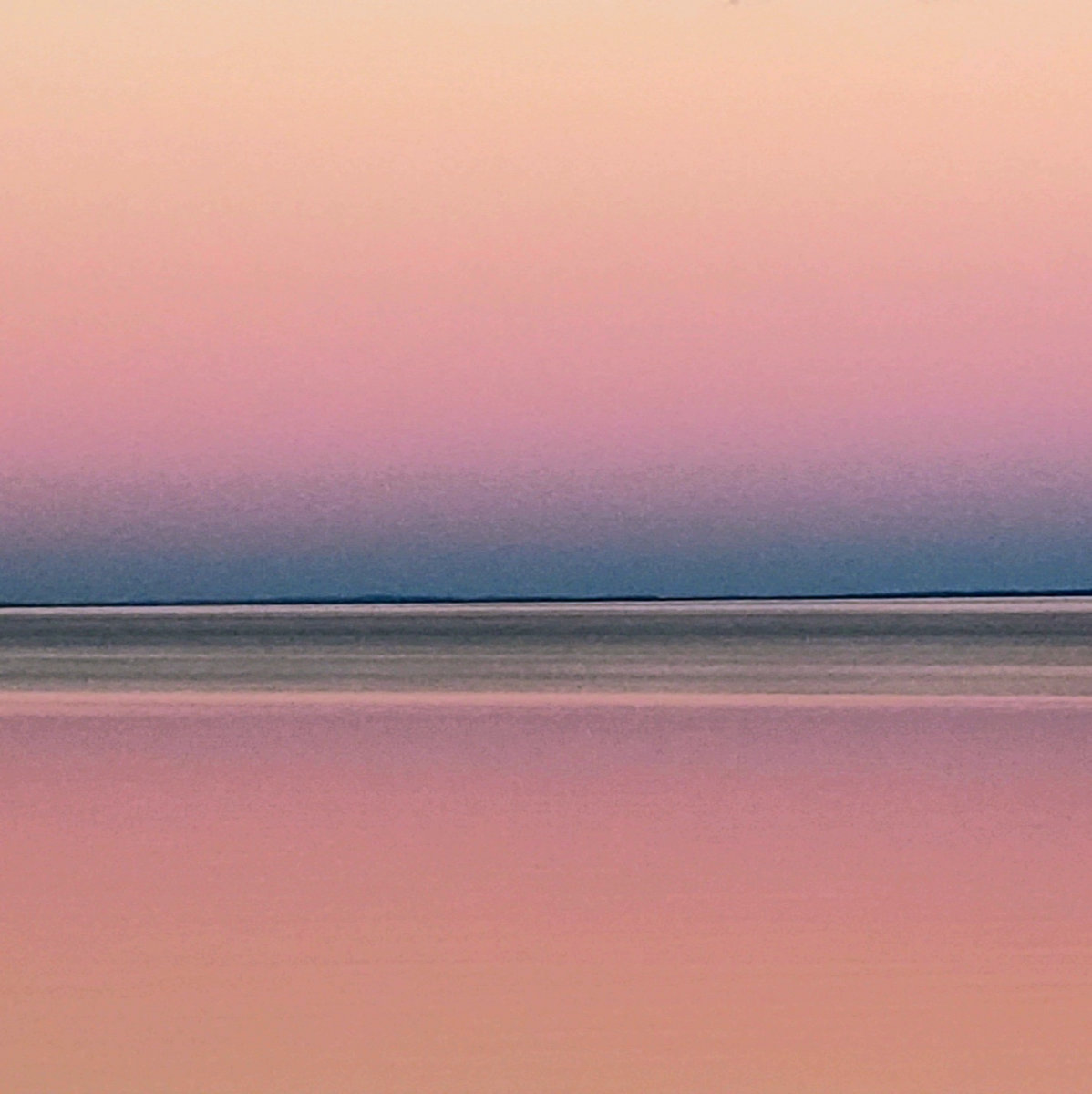 Ripple | John Ganser