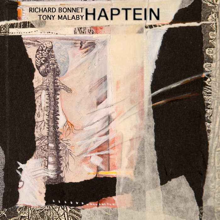 Haptein | Richard Bonnet, Tony Malaby | Richard Bonnet