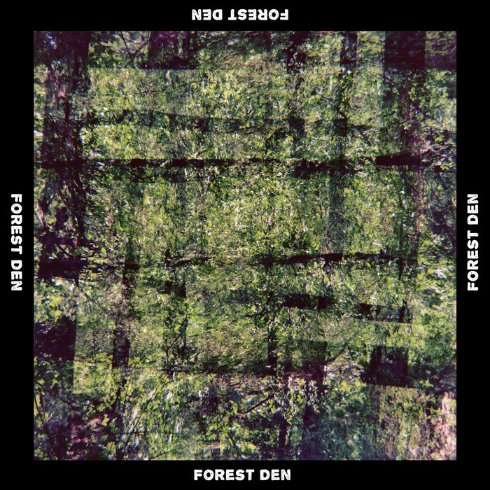 Forest Den | The MILA All-Star Band