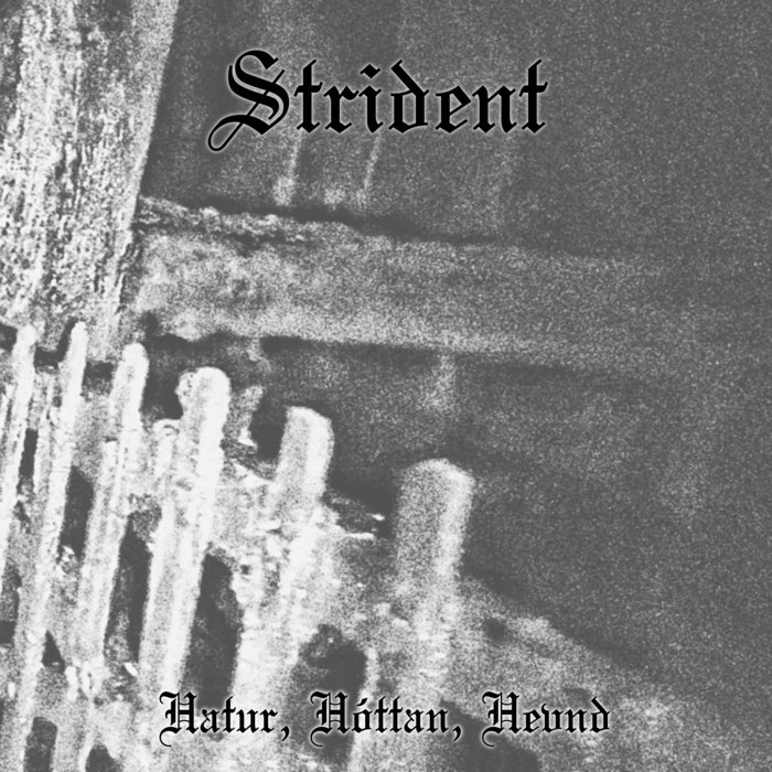 Hatur, Hóttan, Hevnd | Strident