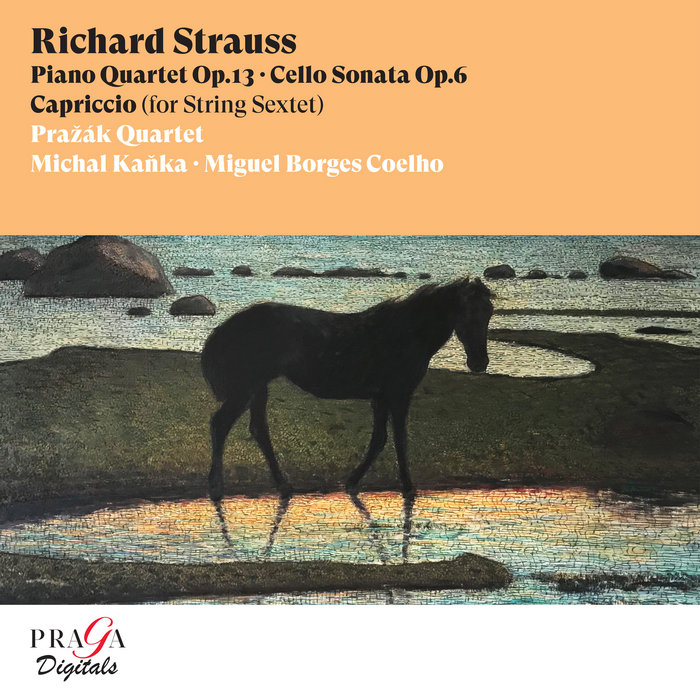 Richard Strauss: Piano Quartet, Cello Sonata, Capriccio (String Sextet ...
