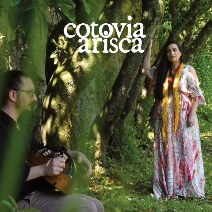cotovia arisca | cotovia arisca | João Ferreira Martins