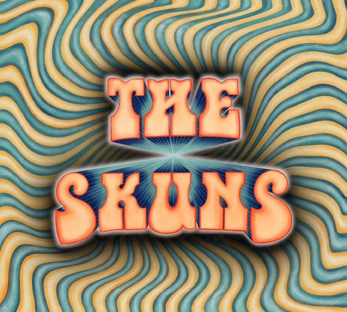 A Turtle's Dream in Outer Space | The Skuns
