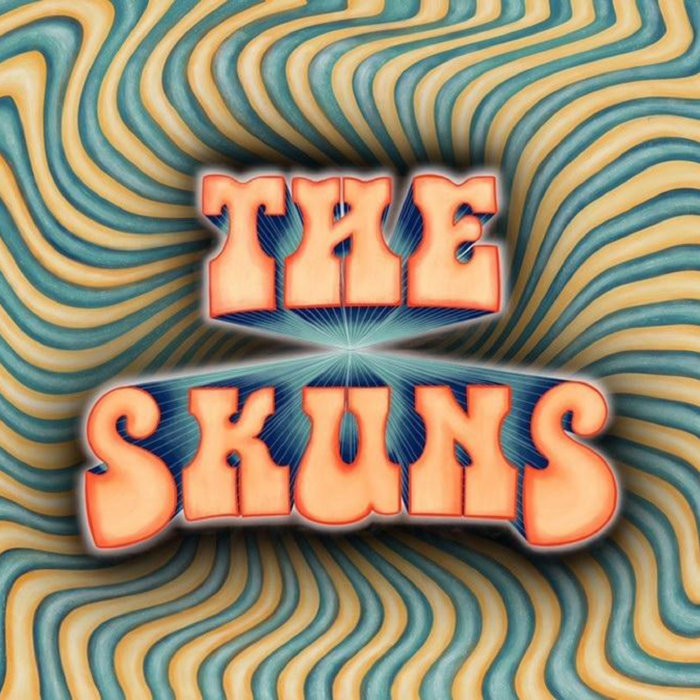 A Turtle's Dream in Outer Space | The Skuns