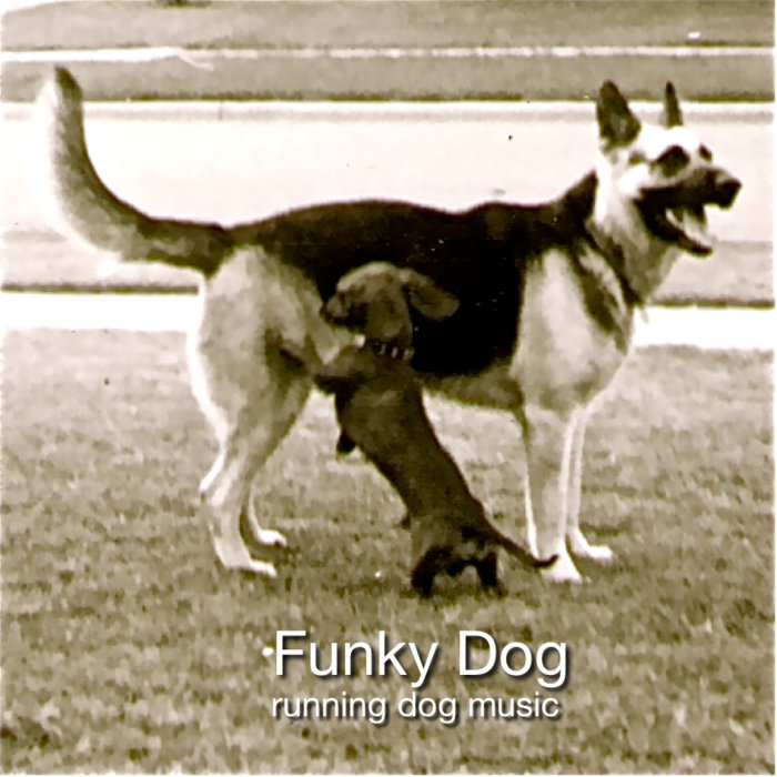 Funky Dog | Running Dog Music