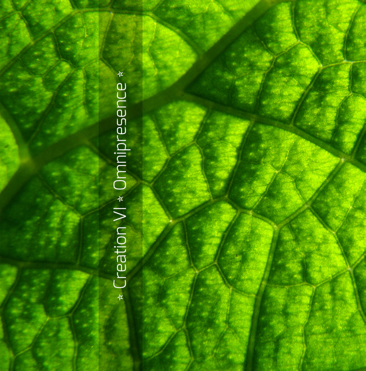 Omnipresence | Creation VI | Tim Six • Creation VI