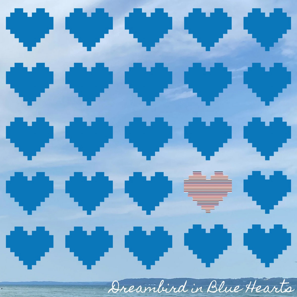 Dreambird in Blue Hearts | Dreambird