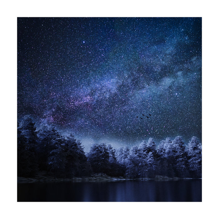 Lintukoto | Outo Kuvio