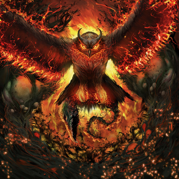 Rage Gracefully | Rad Owl