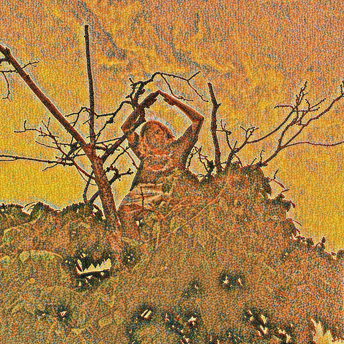 A Framed & Mounted Tree | Imp Magnet | The Flowering Eyeballs