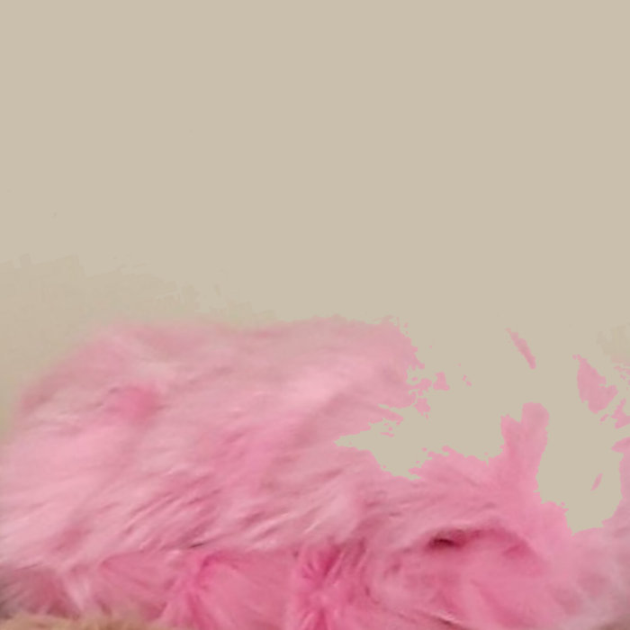 4.2: ,,,, | RINGEX SOLID | RINGEX PLASTER