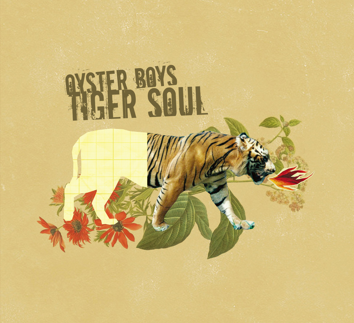 Tiger Soul | Oyster Boys | Electric Muse