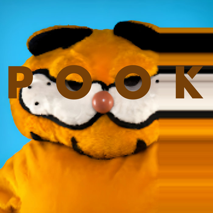 POOK | SnapBack | JoshMosh