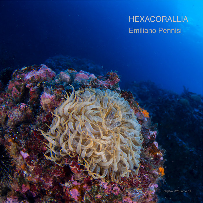 HEXACORALLIA | Emiliano Pennisi | objet-a