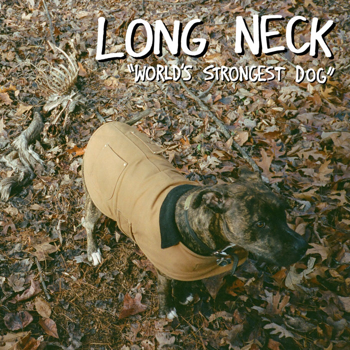 World's Strongest Dog | Long Neck