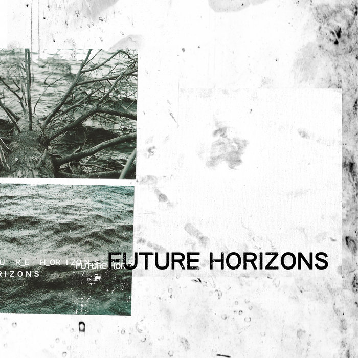 Future Horizons | Future Horizons