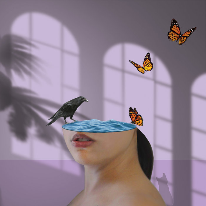 squashed dreams & broken wings | lys scott