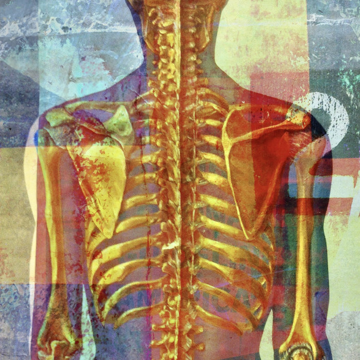 eridanus | Kurt Nimmo