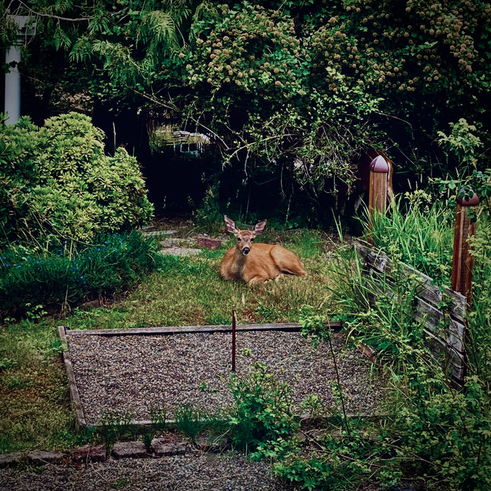 Natural Resolve | Echo Tongues