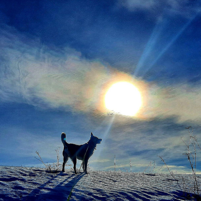 Cossack Line, part 2 -- STUDIO (2024) | Shumilov Bor