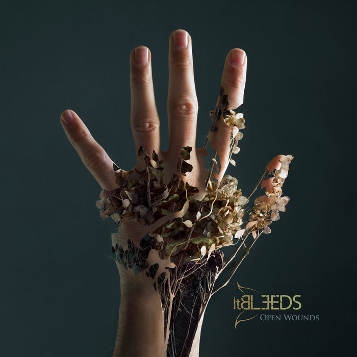 Open Wounds | It Bleeds