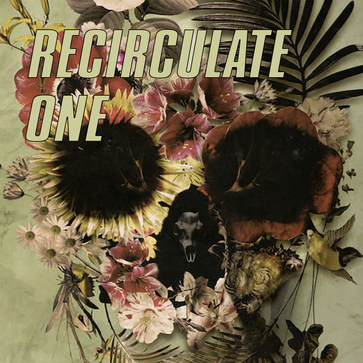 Recirculate One | Circulation