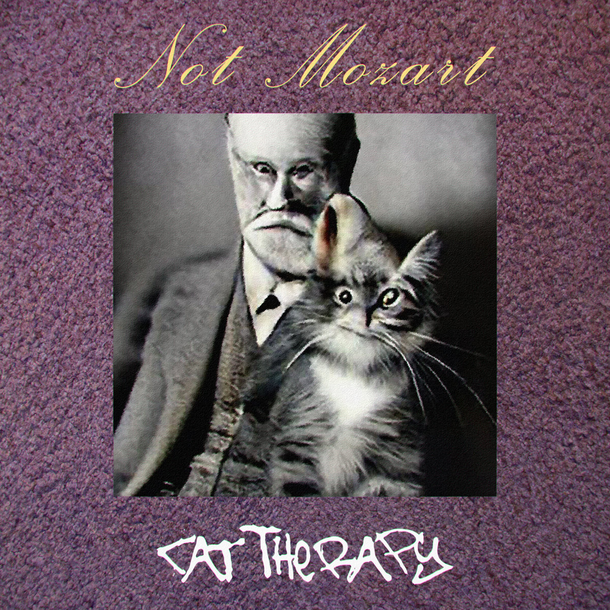 Cat Therapy | Not Mozart
