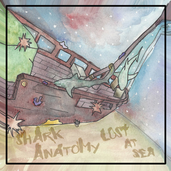 Lost at Sea | Shark Anatomy