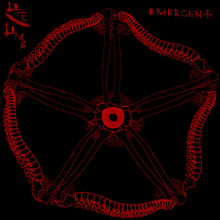 Emergent | LIFE OVER LIMB
