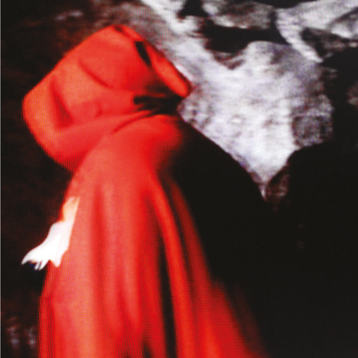 Crescent Shaped Scars | Covered In Sand | Avian