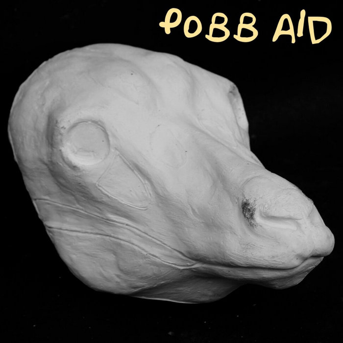 Pobb Aid 2022 | Pobb Aid